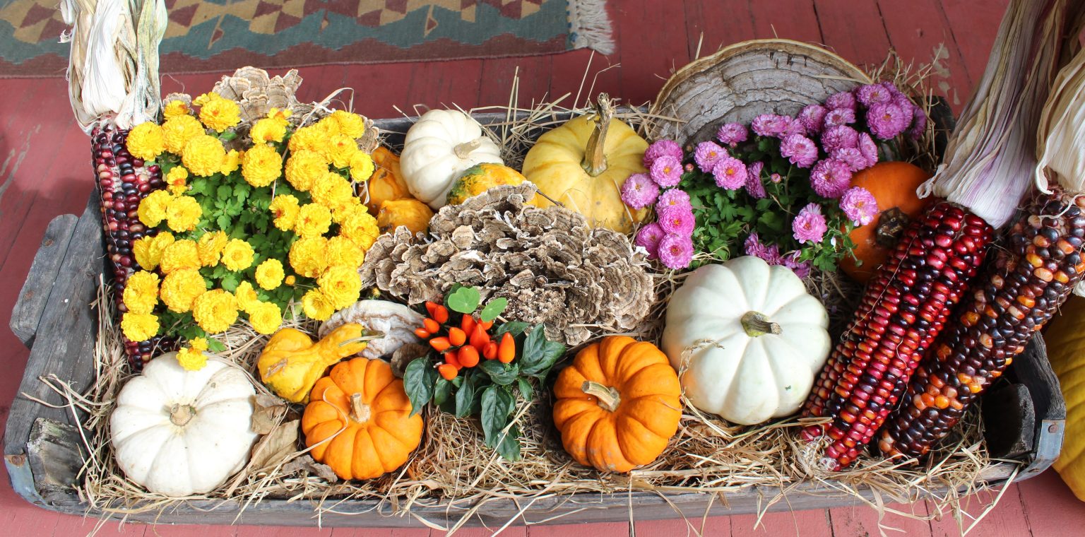 Fall Planter Box Easy and Unique DIY Decor - Little Fisher Farmhouse
