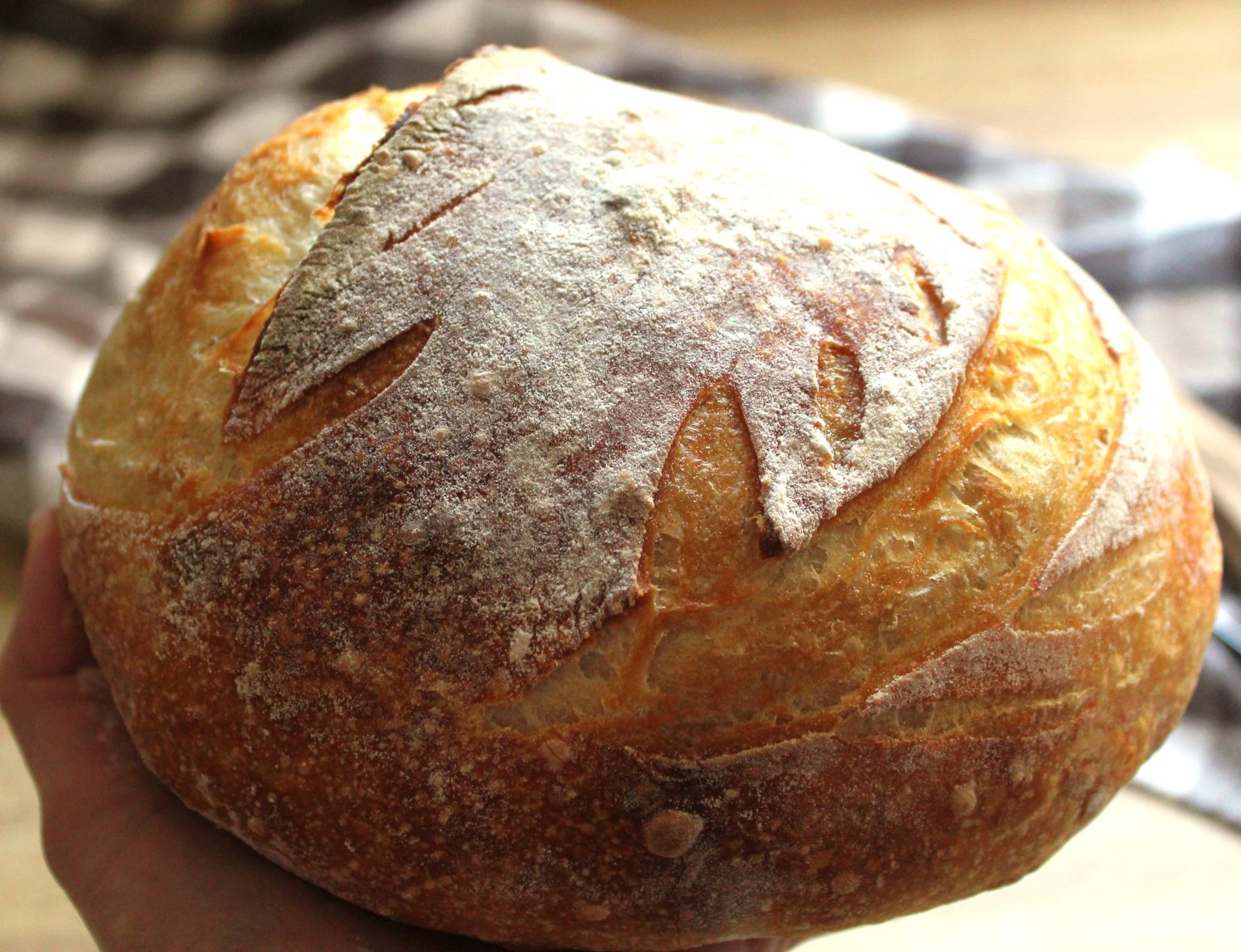 Easy Sourdough Boule - Little Fisher Farmhouse