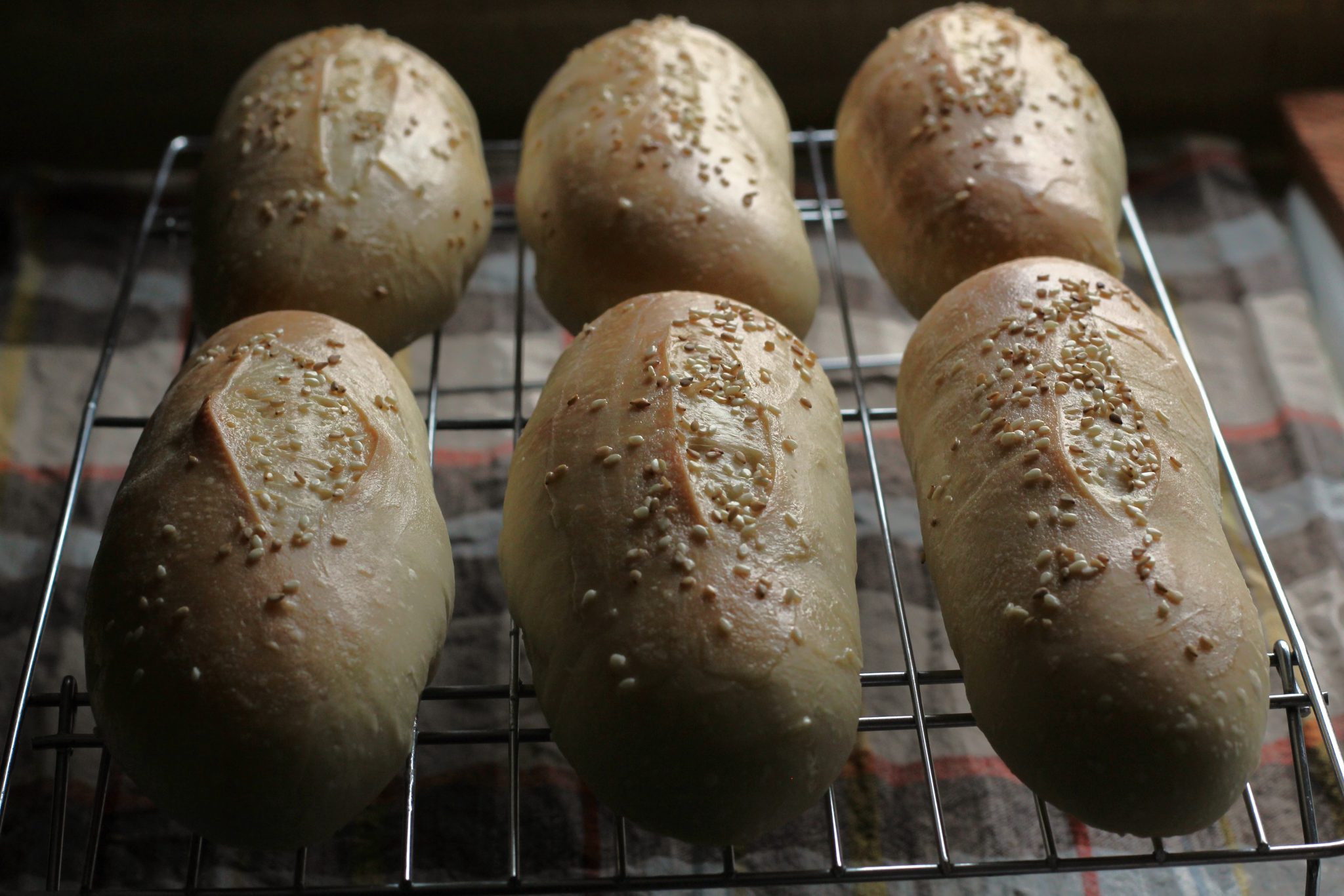 Sourdough Sandwich Rolls - Little Fisher Farmhouse